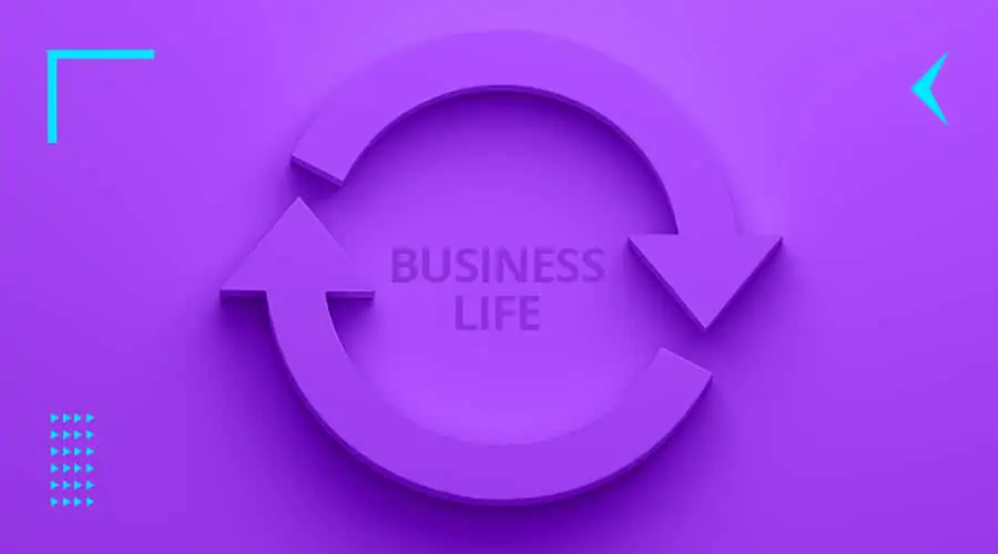5 Stages Of The Business Life Cycle & How To Prepare For Each - Orange Room